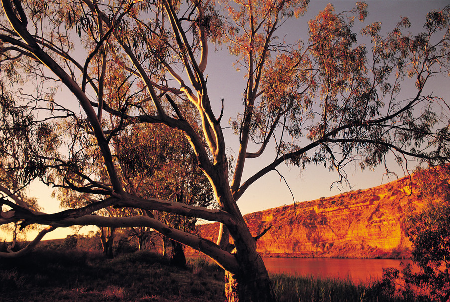 9 Days Murray Princess Cruise, Flinders Ranges & Arkaroola Wilderness ...